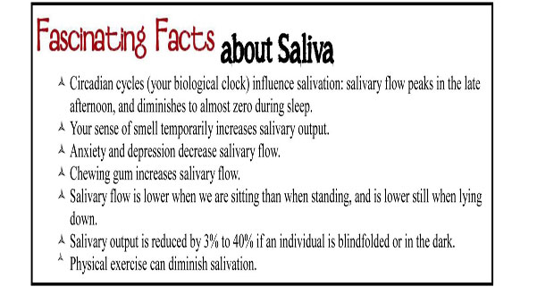 THE DENTIST ADVISES… Saliva is the body’s most important protection ...