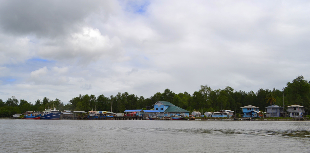 Scenes from Shell Beach - Guyana Chronicle