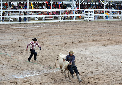 Rupununi Rodeo at Lethem - Guyana Chronicle