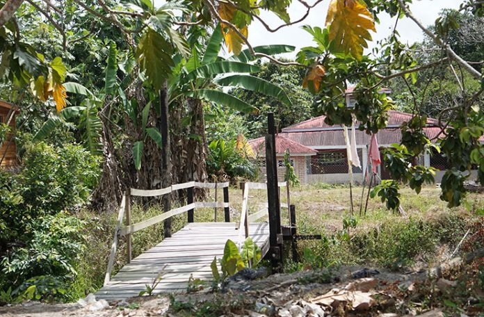 Ruby Backdam | A place of large scale farming - Guyana Chronicle