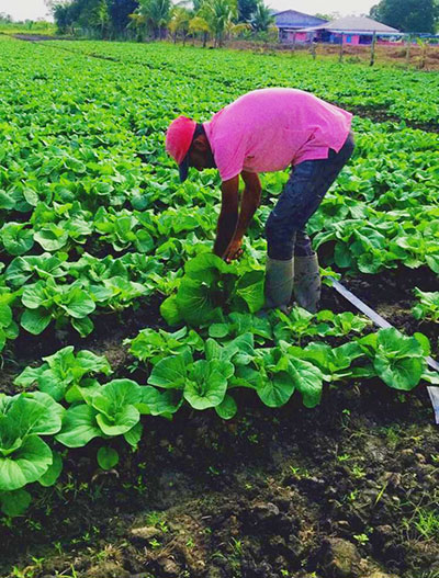 How Guyana can grow its economy - Guyana Chronicle