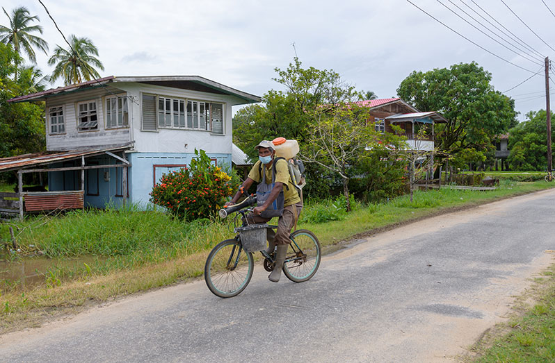 The serene Leguan Island - Guyana Chronicle