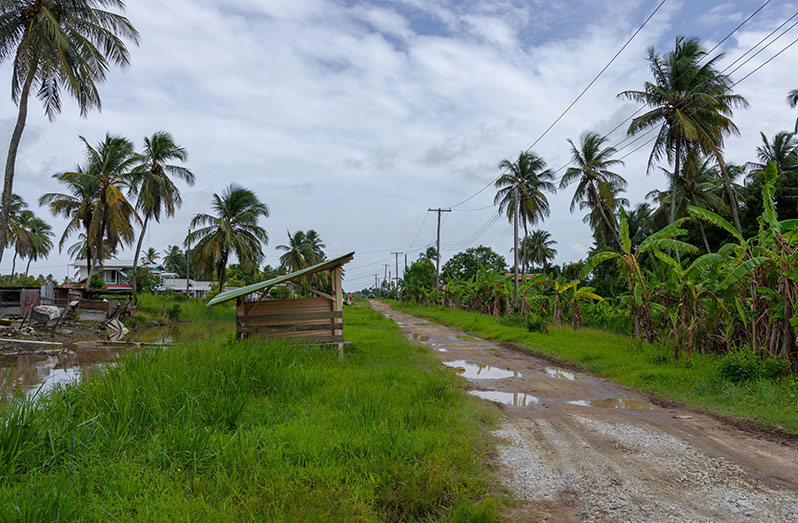 The serene Leguan Island - Guyana Chronicle