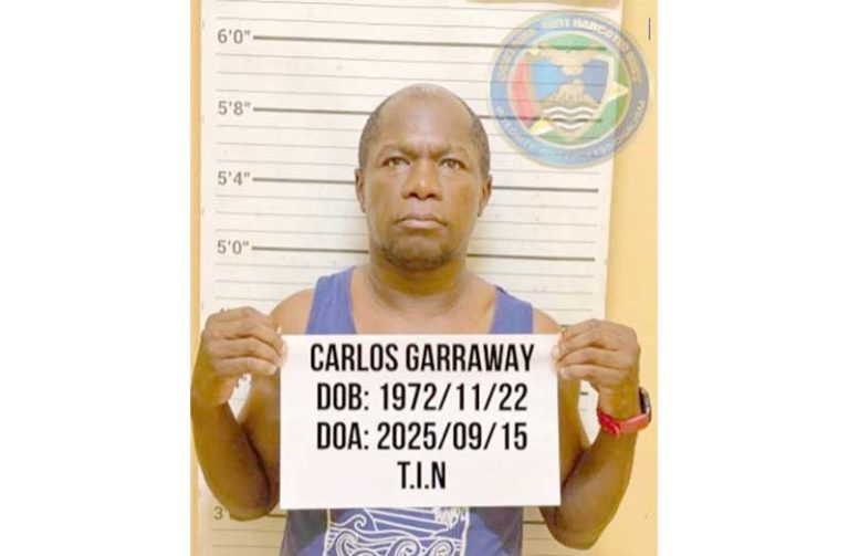 CANU seizes drugs, firearm in separate Georgetown operations - Guyana ...