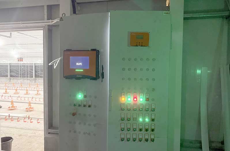 Young entrepreneurs gain practical skills in Government’s poultry ...