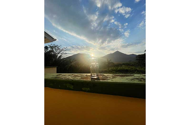 Quarrie Tourism Committee launches eight-hour nature tour - Guyana ...