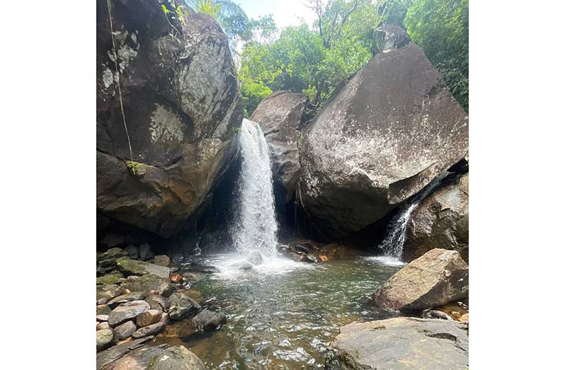 Quarrie Tourism Committee launches eight-hour nature tour - Guyana ...