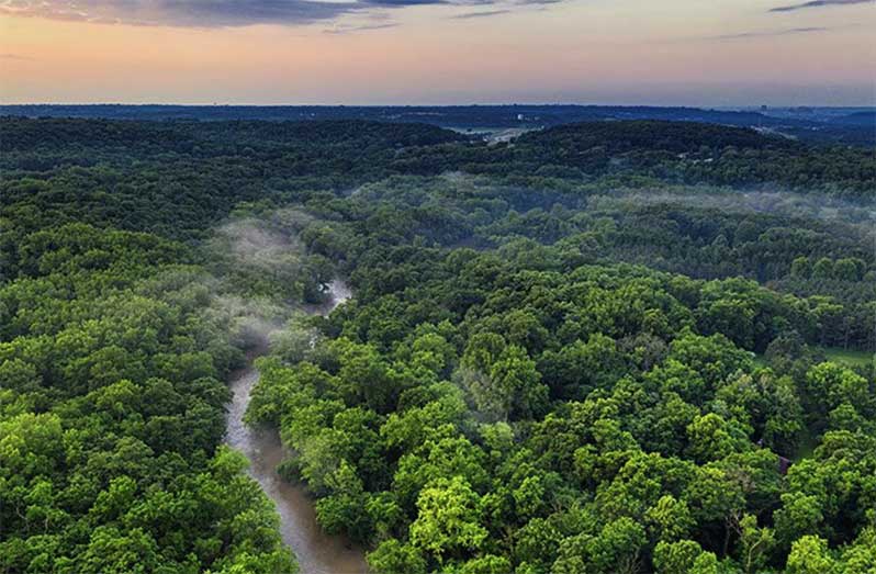 Guyana secures 9M CORSIA-eligible carbon credits for 2023 - Guyana ...