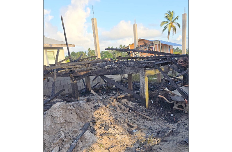 Single mother loses ‘everything’ after Queenstown fire - Guyana Chronicle