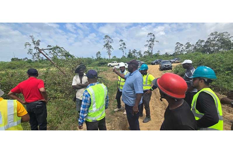 GPL engages Ithaca farmers on proposed 230-kV transmission line ...