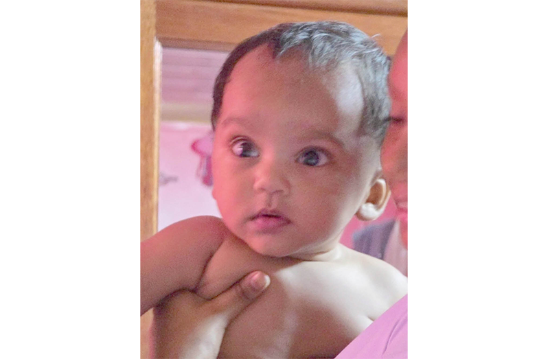 Father, infant killed in Orangestein crash; wife hospitalised - Guyana ...