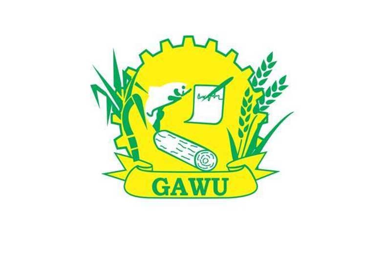 GAWU urges Guyanese to embrace hope and togetherness this Phagwah ...