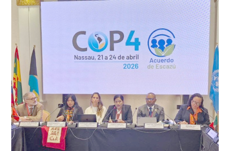 CCJ President addresses environmental rule of law at international ...