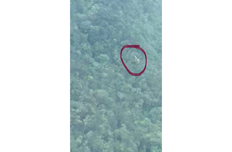 Difficult terrain, wind conditions complicate rescue at ASL plane crash ...