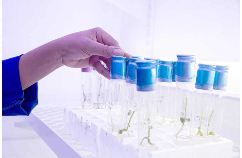 FAO unveils new data domain tracking agricultural research, development ...