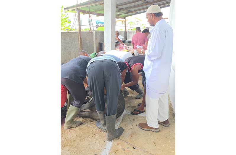Faith, Sacrifice and Obedience: Muslims countrywide observe one of ...