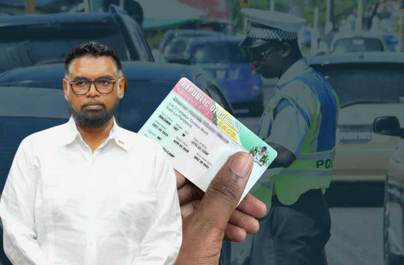 1,600 drivers to be flagged in licence, traffic irregularity probe ...
