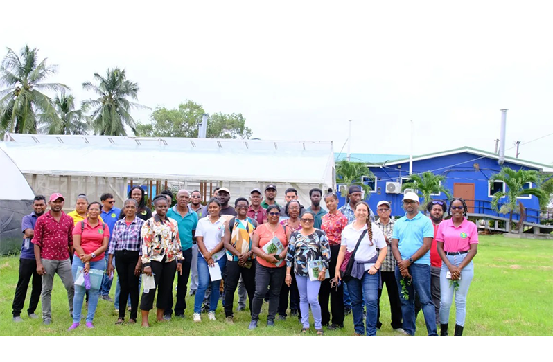 Over 90 farmers trained in climate-smart agricultural practices ...