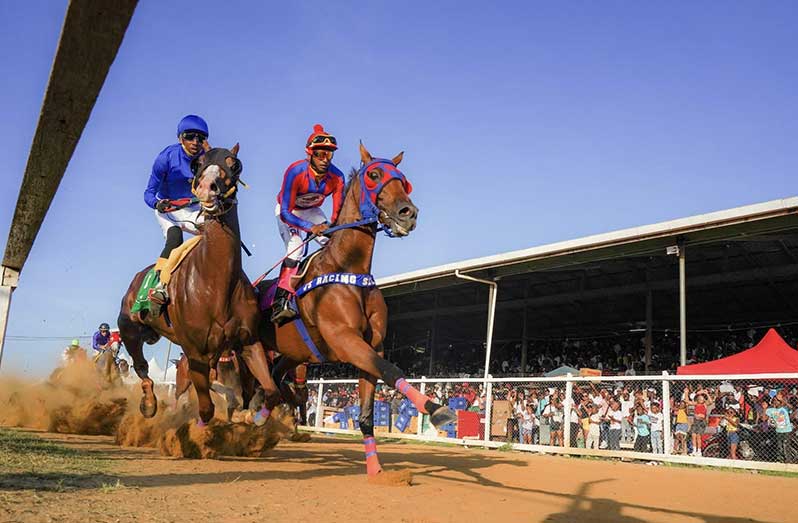 CARICOM Gold Cup horse race set for July 5 - Guyana Chronicle