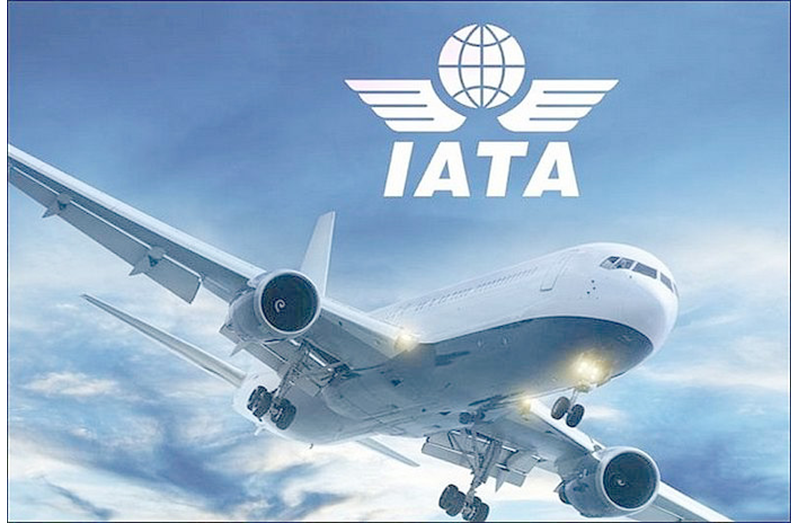 Guyana joins global push to scale aviation carbon credits - Guyana ...