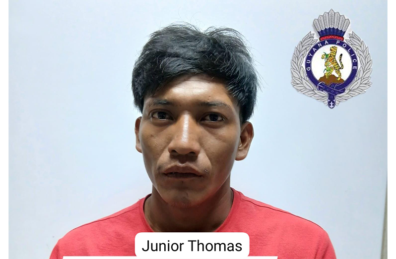 St Ignatius labourer remanded for cocaine trafficking - Guyana Chronicle