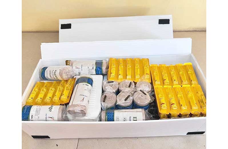 Health Ministry uses drone technology to deliver medical supplies to ...
