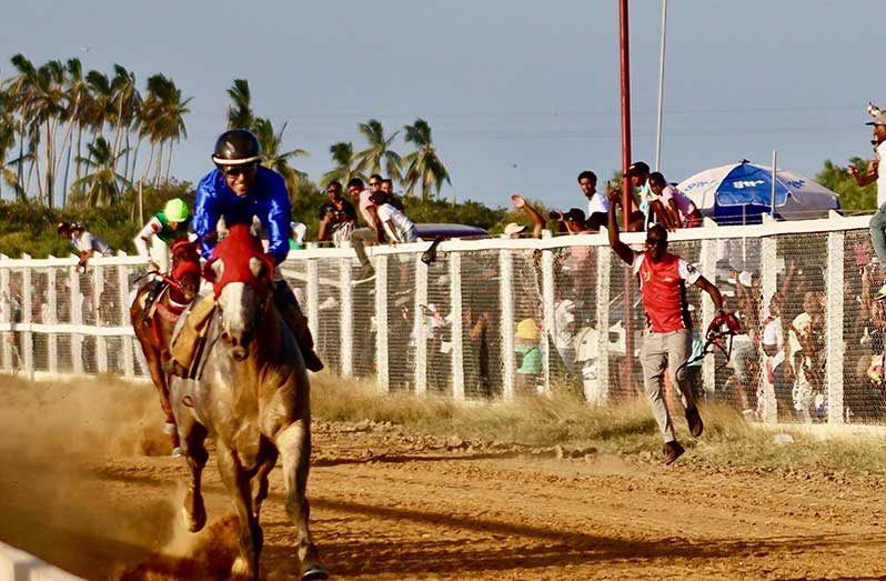 Guyana Horse Racing awards set for next month - Guyana Chronicle