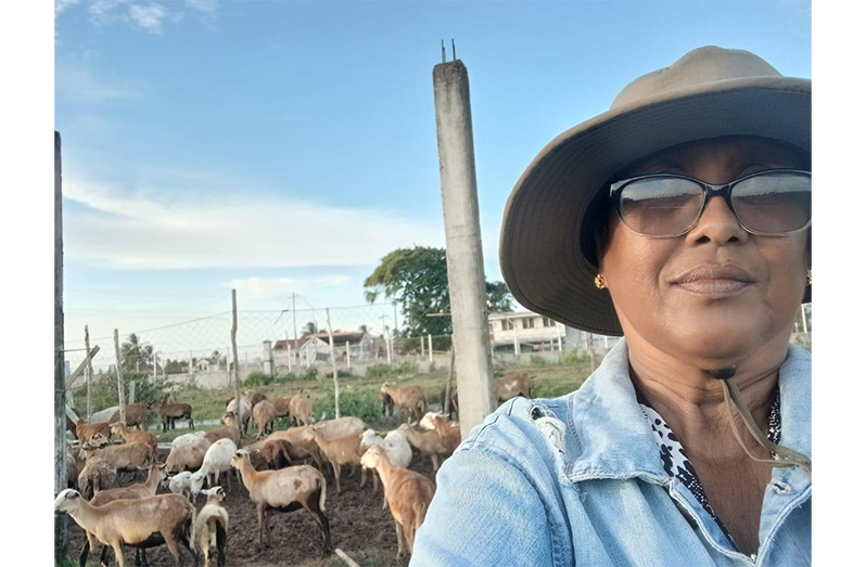 The Highs and Lows of Being a Farmer - Guyana Chronicle